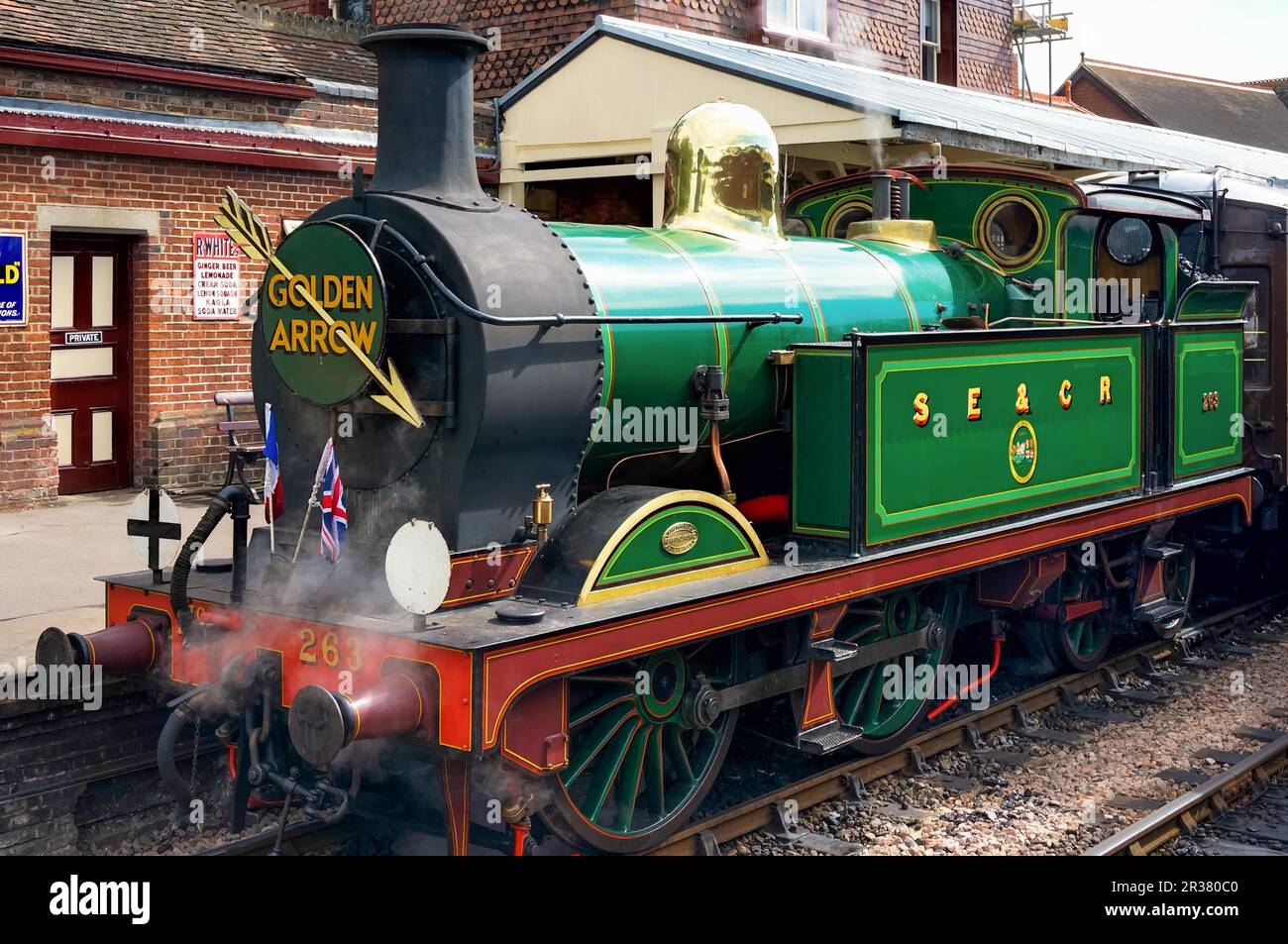 Golden arrow bluebell hi-res stock photography and images - Alamy