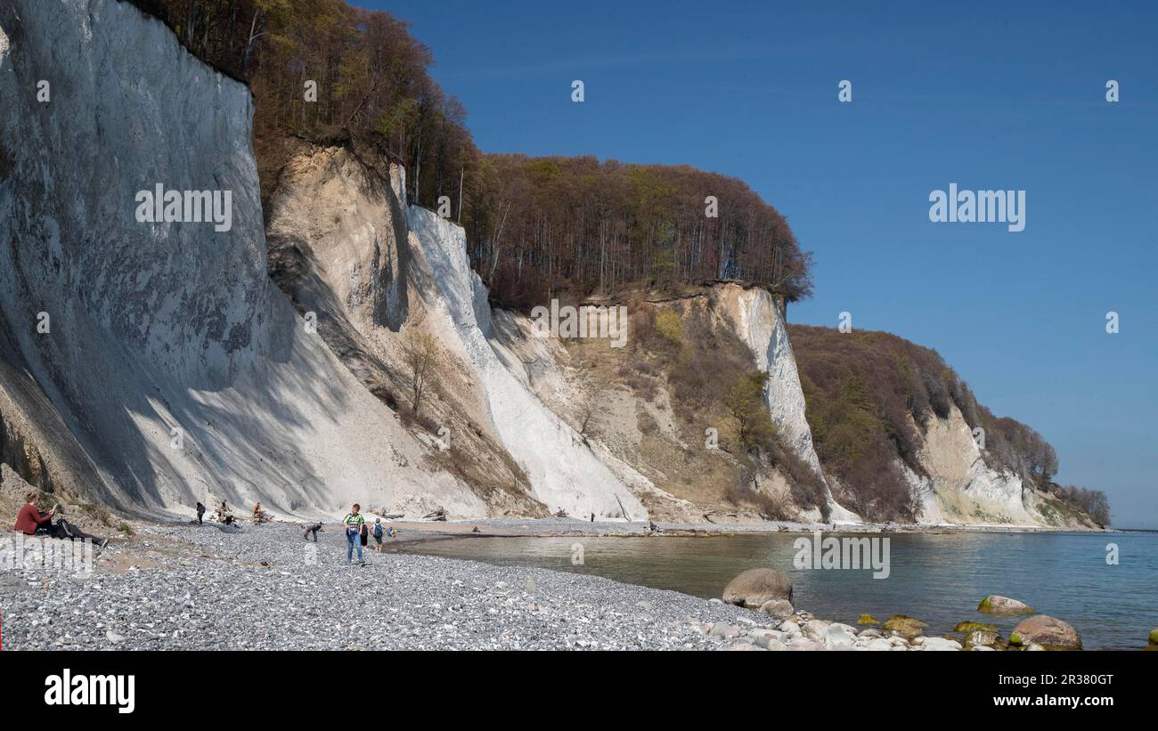 Jasmund National Park - chalk cliffs Stock Photo - Alamy
