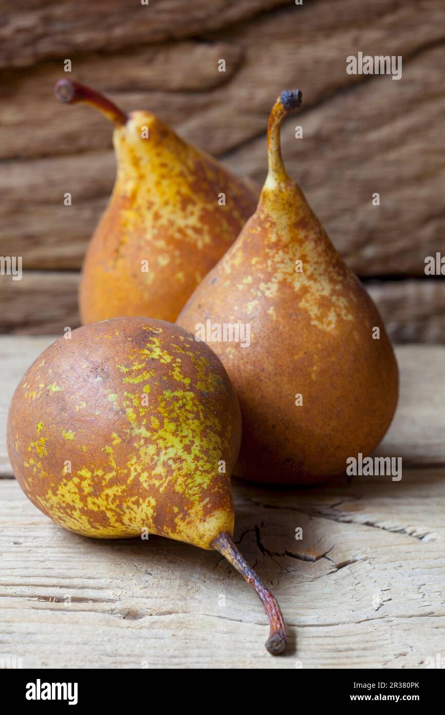 Three Conference pears Stock Photo - Alamy