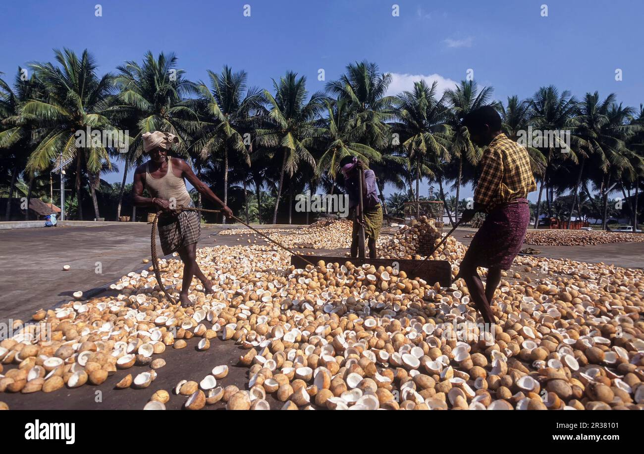 Tamil nadu factory hi-res stock photography and images - Alamy