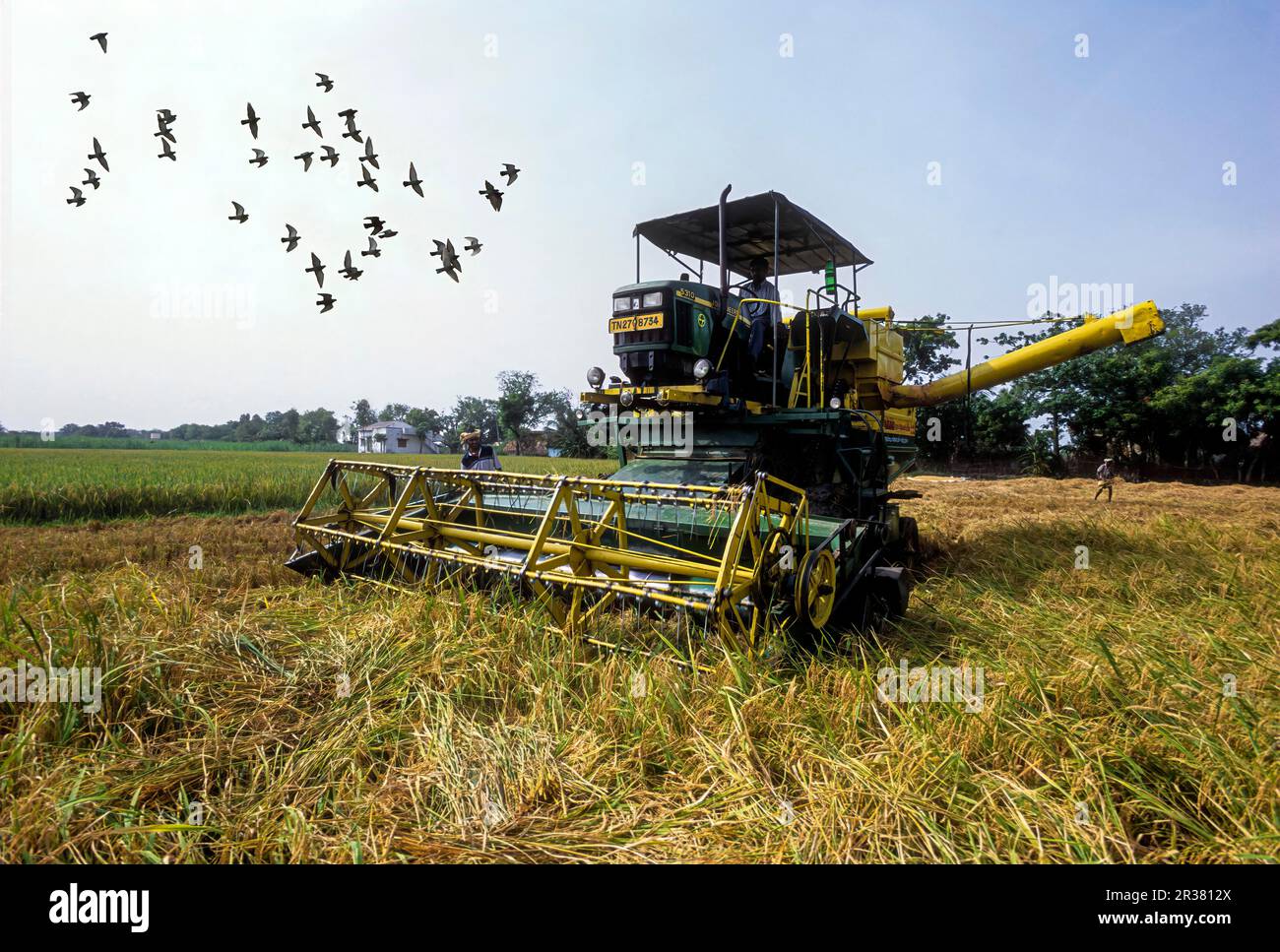 Rice harvester machine in fields at Neyveli, Cuddalore, Tamil Nadu ...