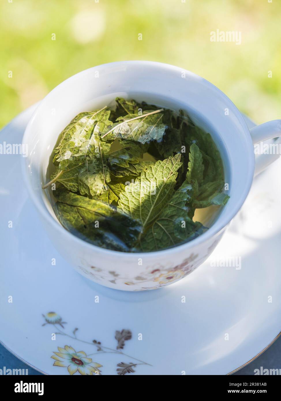 Melissa tea hi-res stock photography and images - Alamy