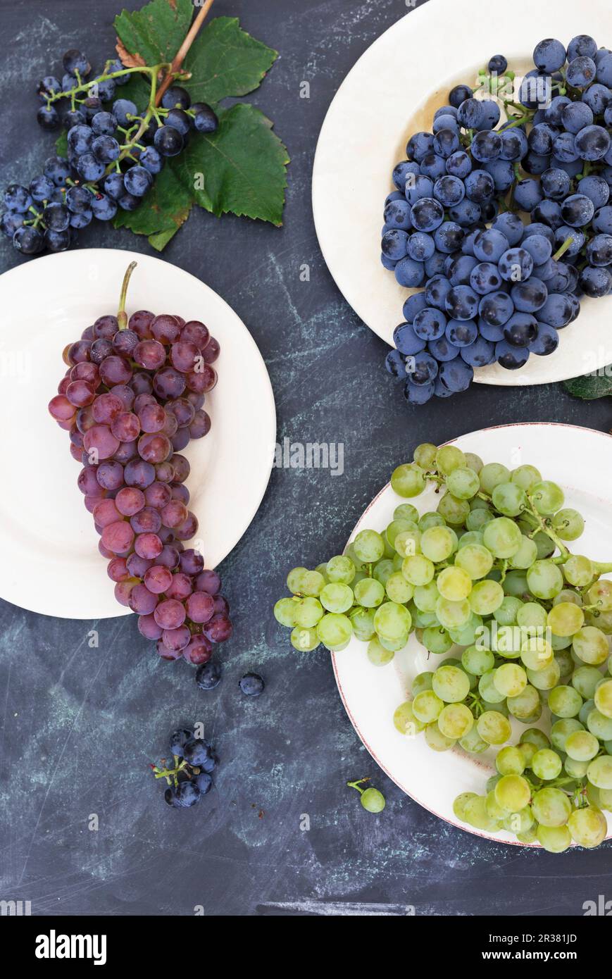 Grape varieties hi-res stock photography and images - Alamy