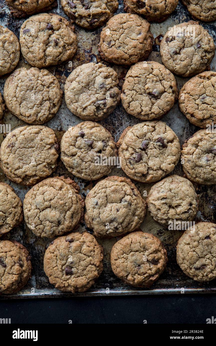 Chocolate chip cookies on a baking sheet Stock Photo - Alamy