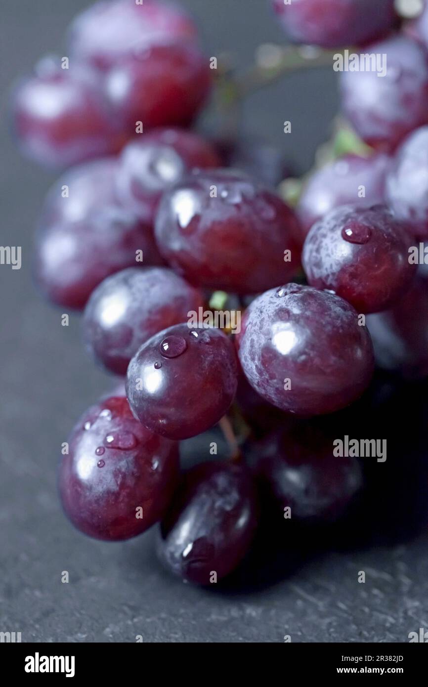 Red grapes water drops studio hi-res stock photography and images - Alamy