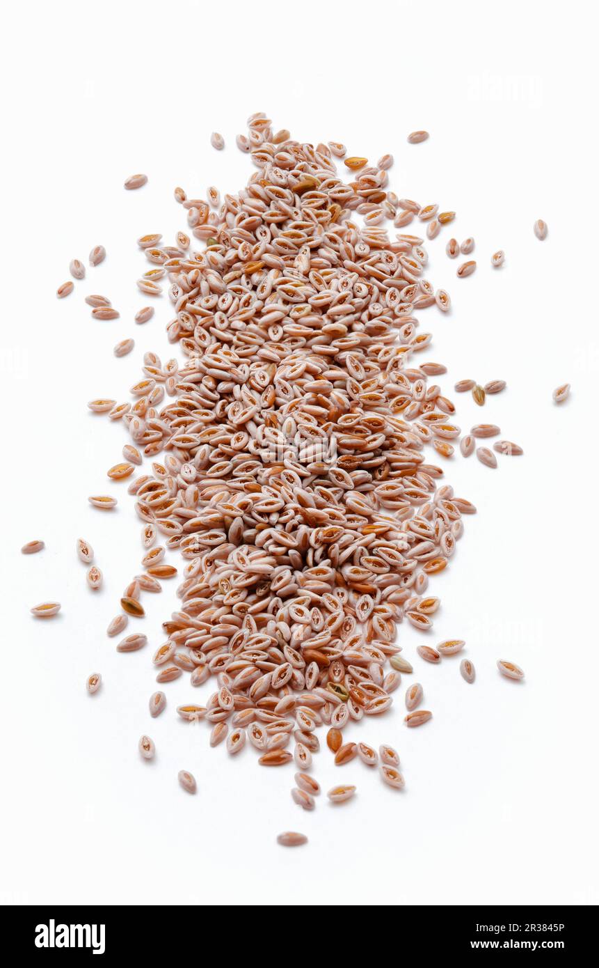 A heap of psyllium (flea seed Stock Photo - Alamy
