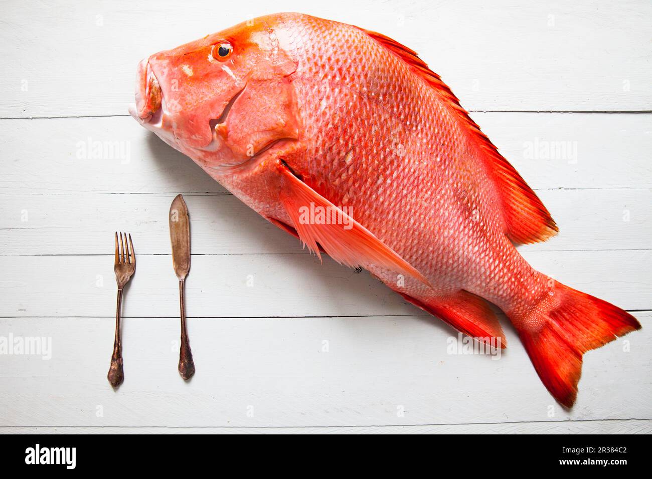 Red snapper photo hi-res stock photography and images - Alamy