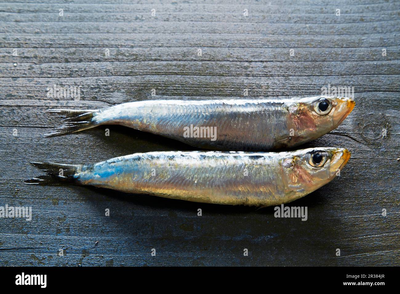 Two sardines on a grey wooden background Stock Photo - Alamy