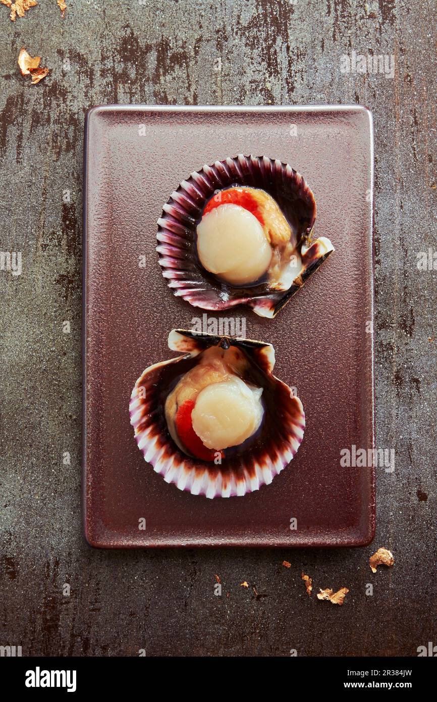 Two raw mussels on a serving platter (top view Stock Photo - Alamy