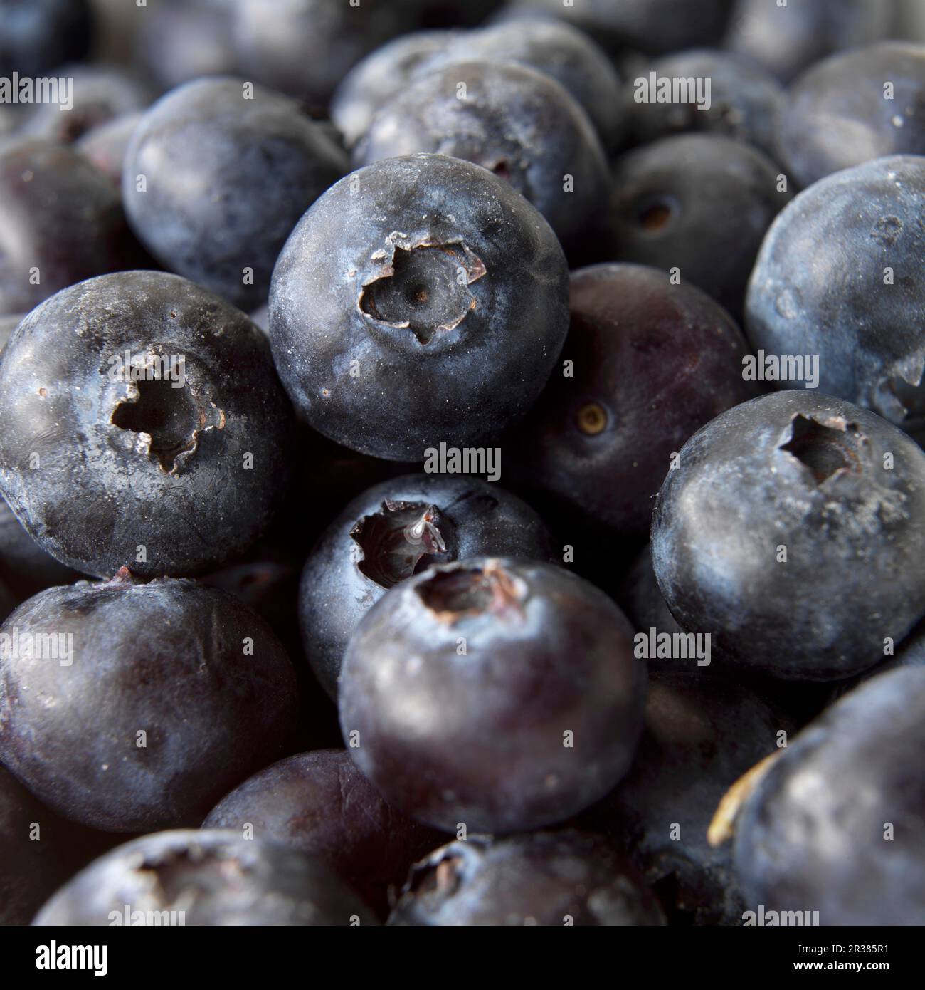 Closeup shot berries inside hi-res stock photography and images - Alamy