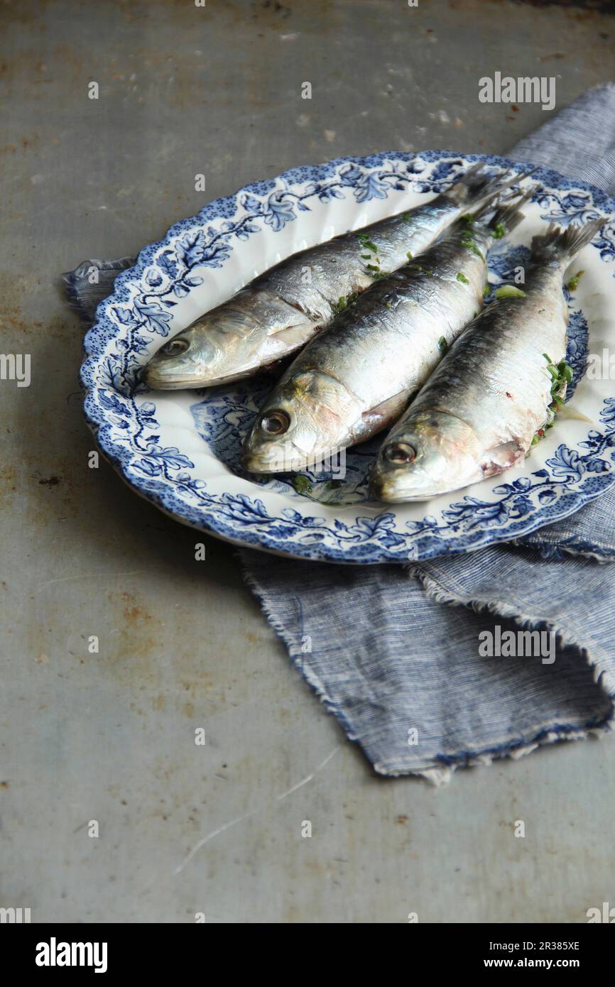 Three sardines plate hi-res stock photography and images - Alamy