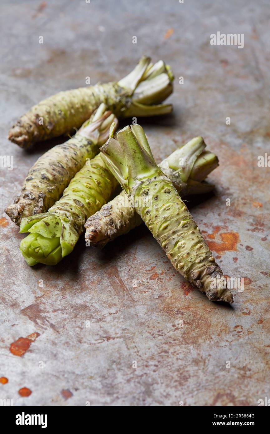 Fresh wasabi roots hi-res stock photography and images - Alamy