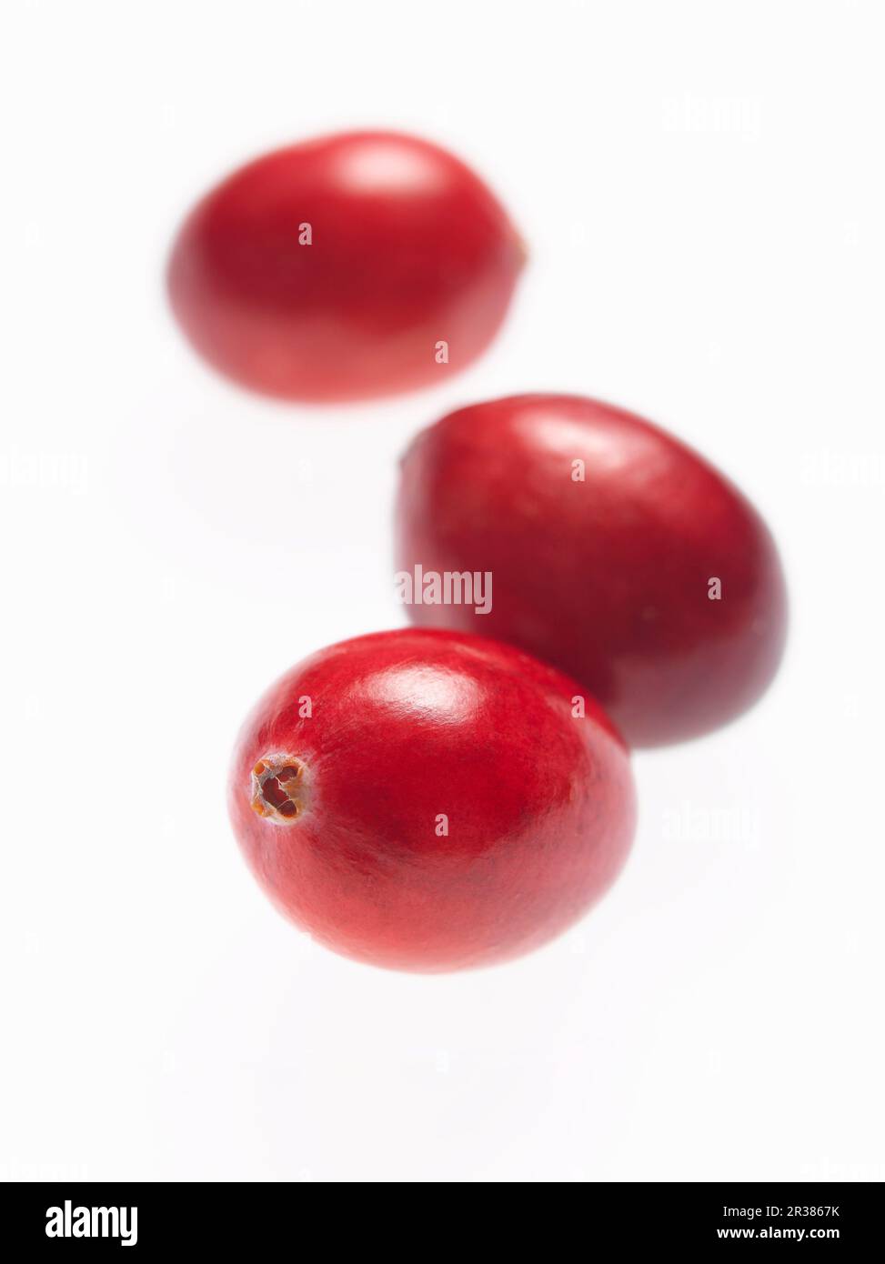 Three fresh cranberries Stock Photo - Alamy