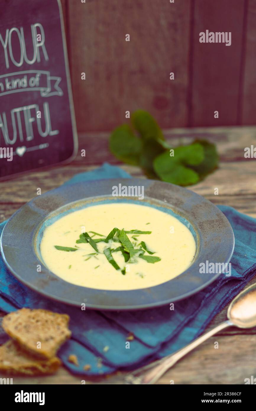 Rocket soup hi-res stock photography and images - Alamy