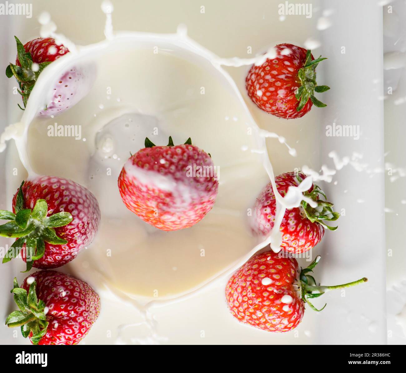 Strawberries falling into milk Stock Photo - Alamy