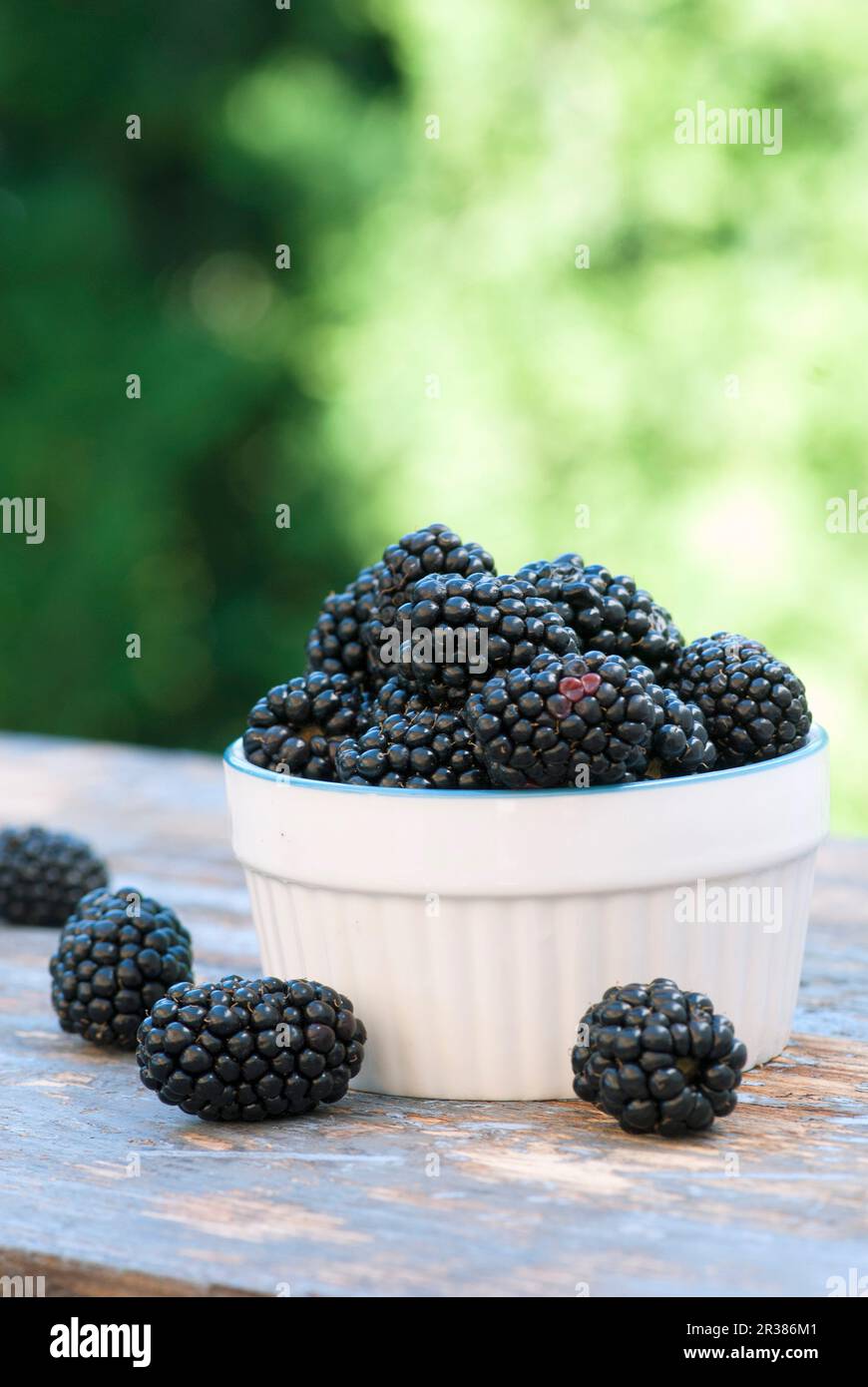 Pot of blackberries hi-res stock photography and images - Alamy