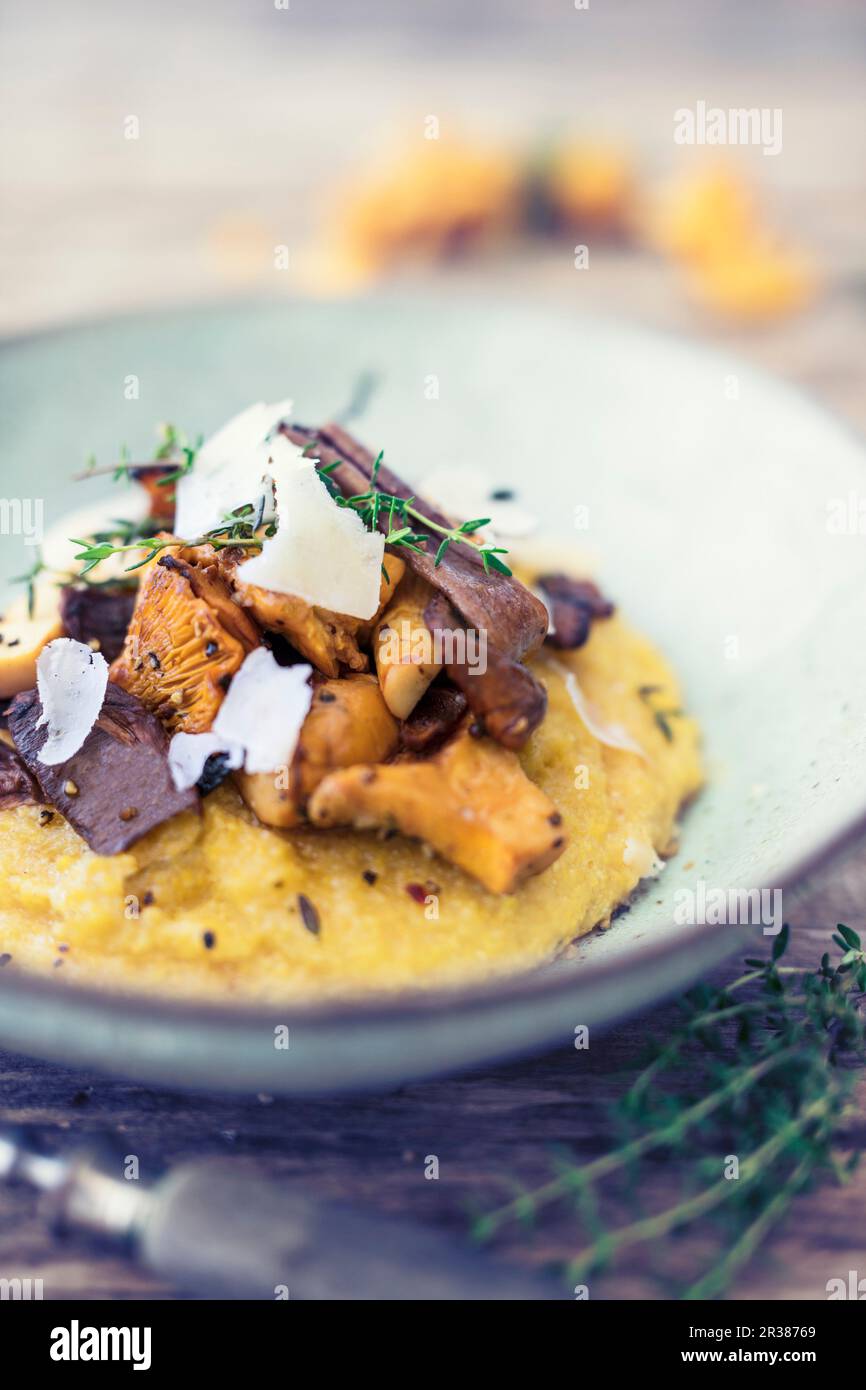 Polenta with mushrooms hi-res stock photography and images - Alamy