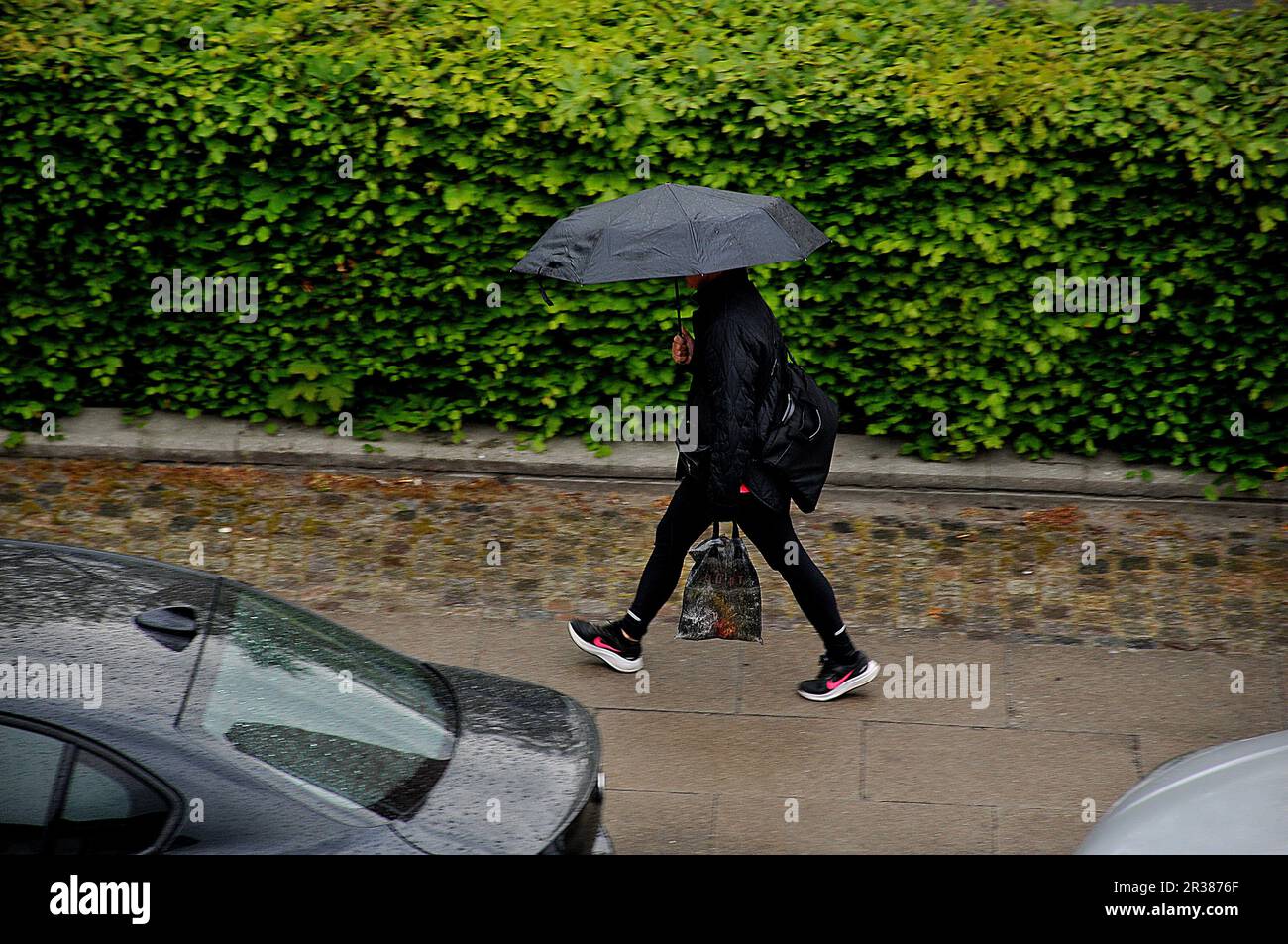 23 MAY 2023/ Perons walk undre black umbrella in rainy fall in Kastrup Copenhagen Denmark ...