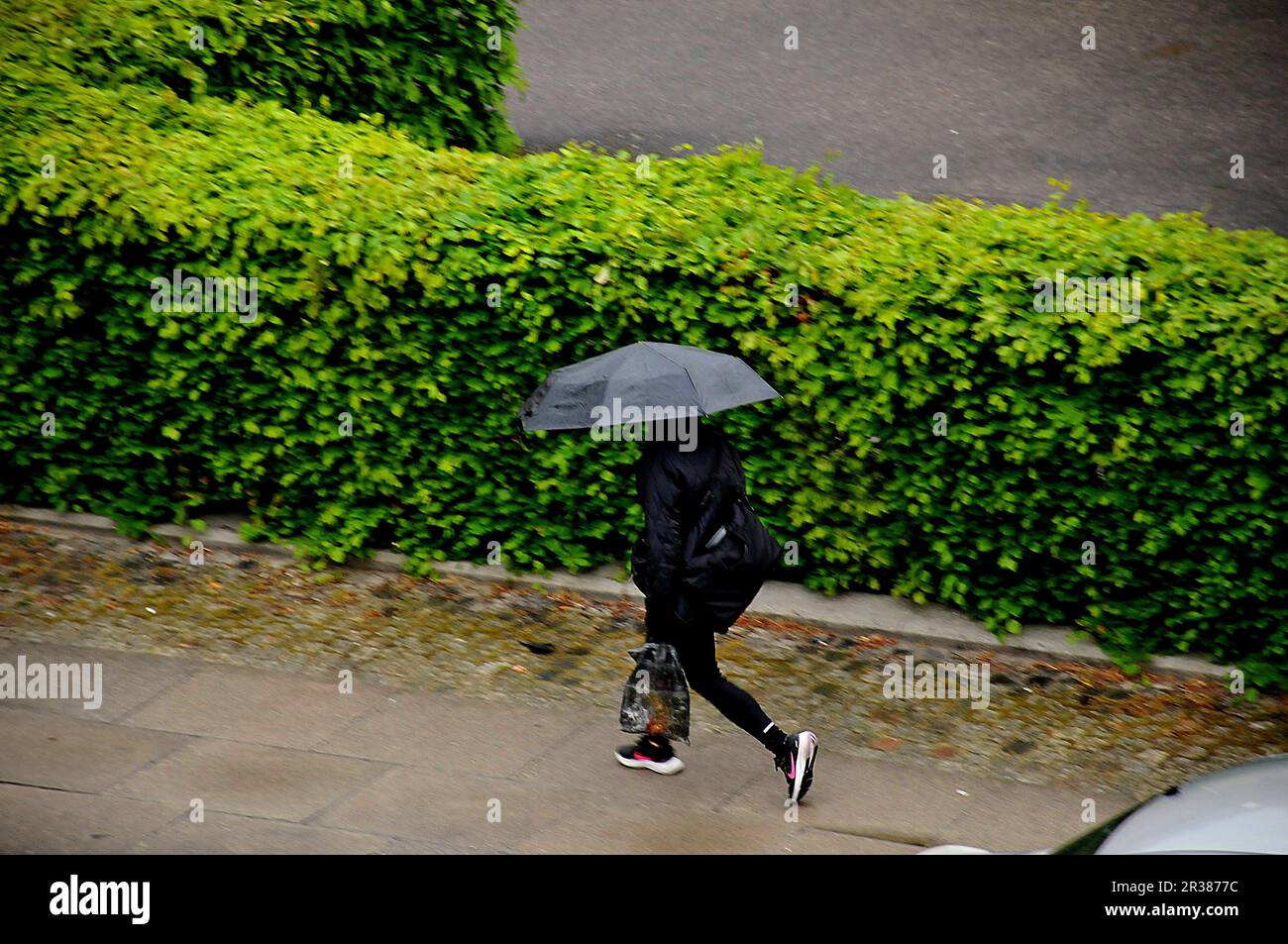 23 MAY 2023/ Perons walk undre black umbrella in rainy fall in Kastrup Copenhagen Denmark ...