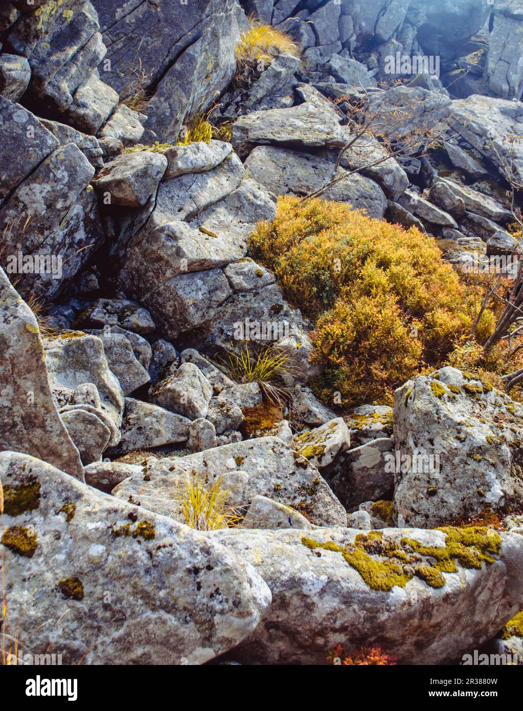 Tectonic rocks hi-res stock photography and images - Alamy