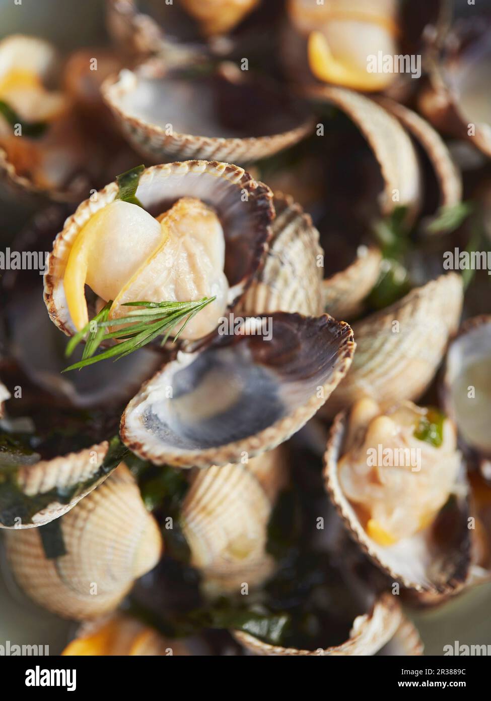 Cockles recipe hi-res stock photography and images - Alamy