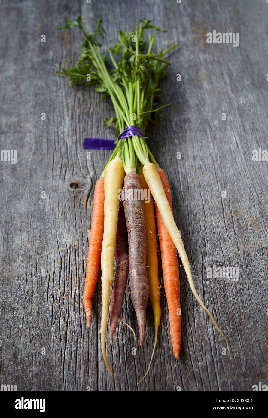 Heritage carrot varieties hi-res stock photography and images - Alamy