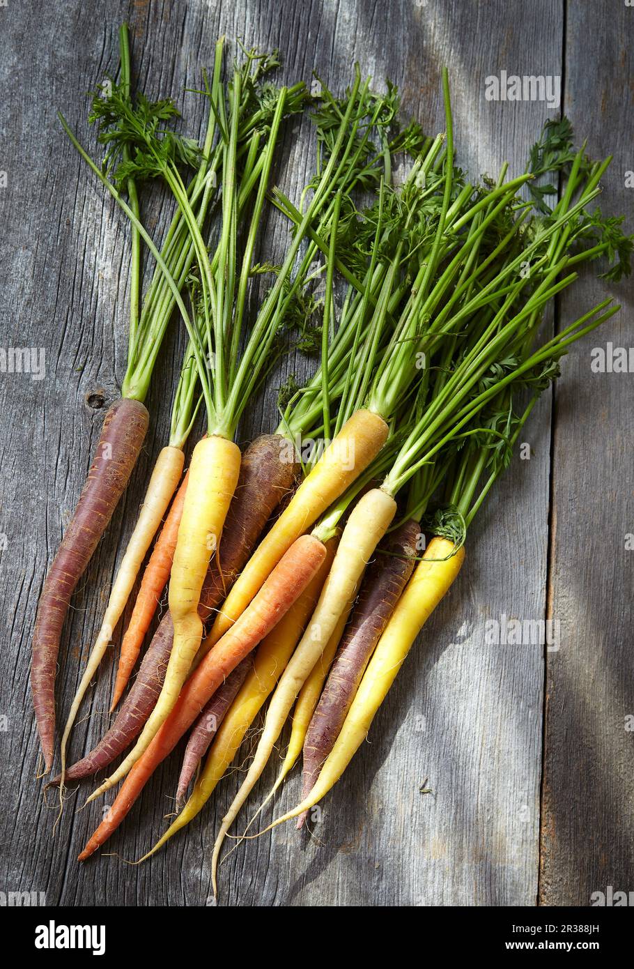 Heritage carrot varieties hi-res stock photography and images - Alamy