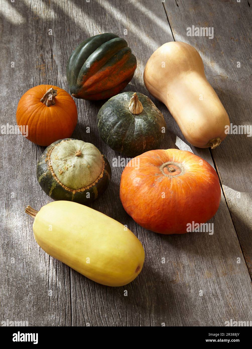 Various different types pumpkins hi-res stock photography and images ...