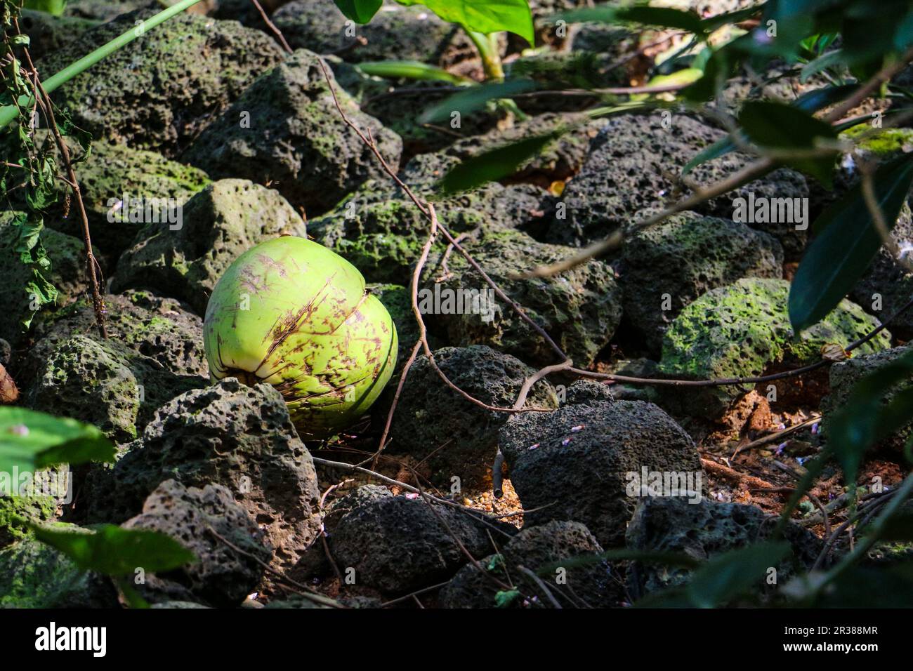 Volcanic island paradise hi-res stock photography and images - Alamy