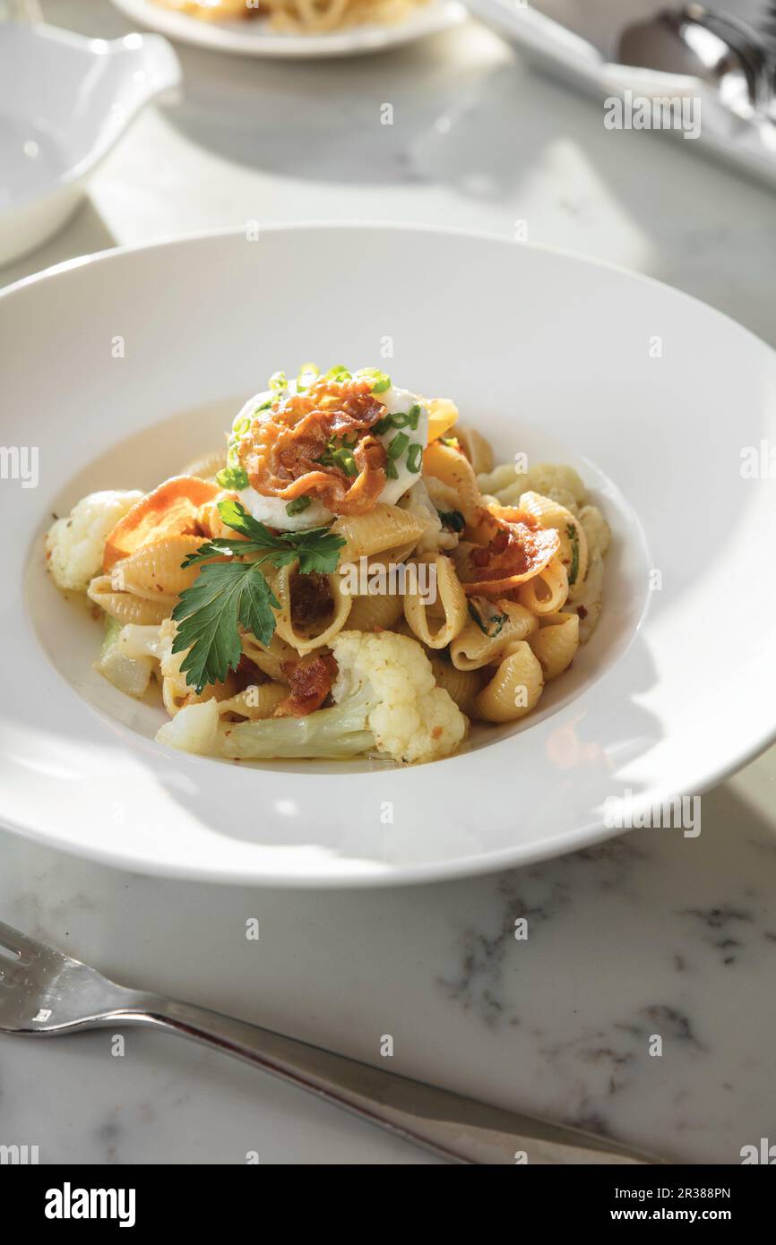 Shell Pasta with Ricotta and Cauliflower in large-rimmed white bowl ...