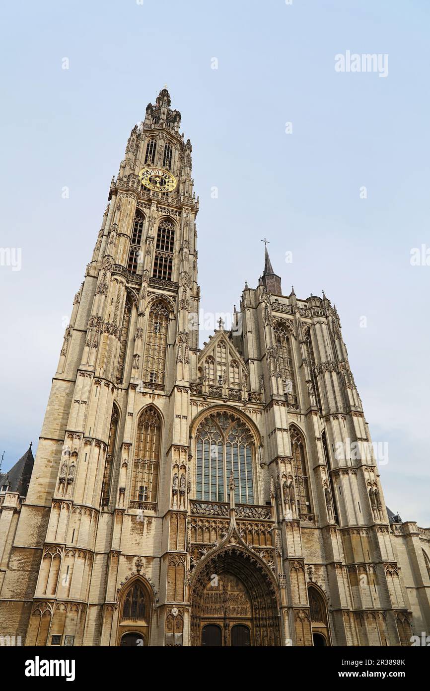 Bell tower cathedral antwerp hi-res stock photography and images - Alamy