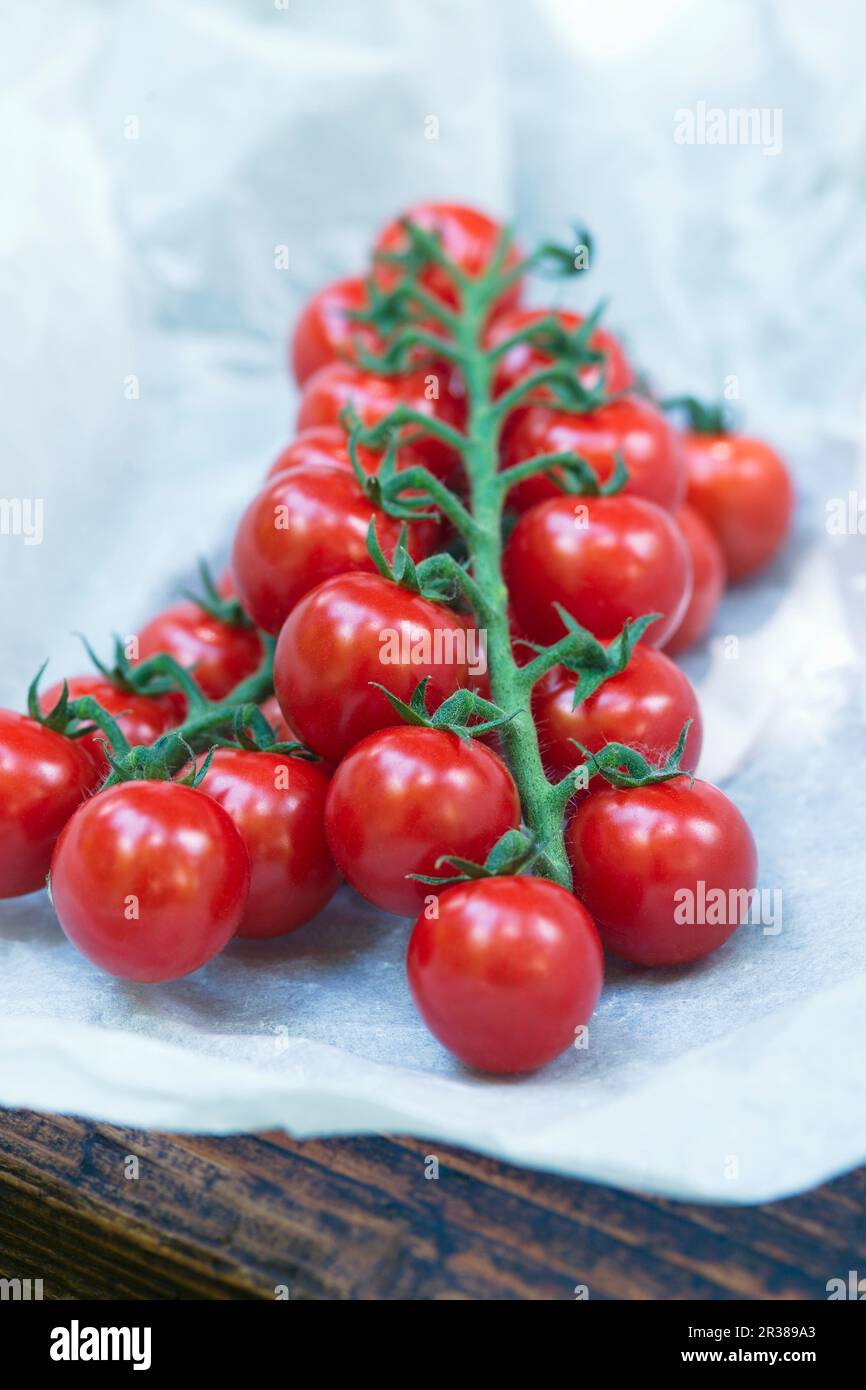 Cocktail tomatoes on the vine on paper Stock Photo - Alamy