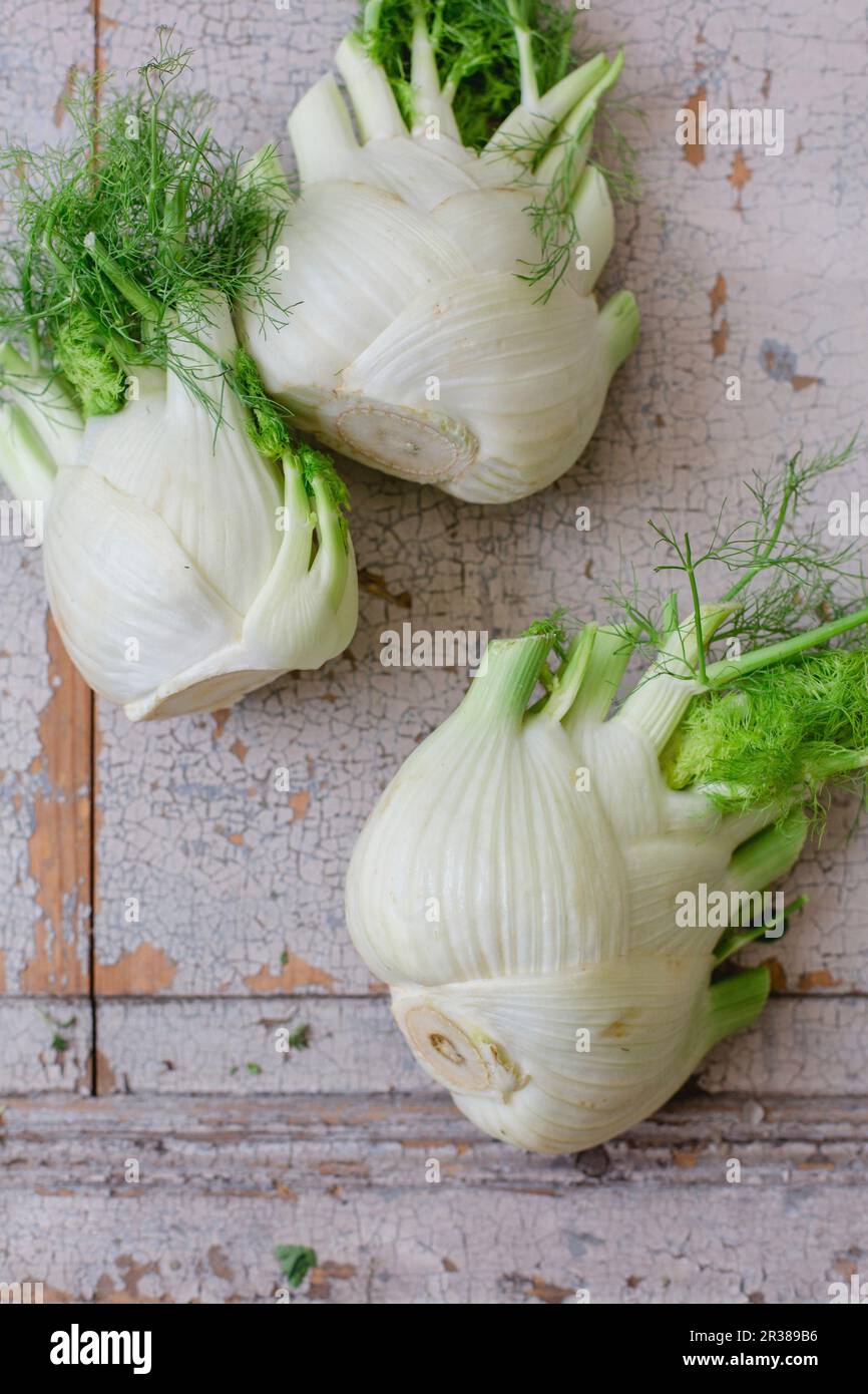 Three fresh fennel bulbs (top view Stock Photo - Alamy