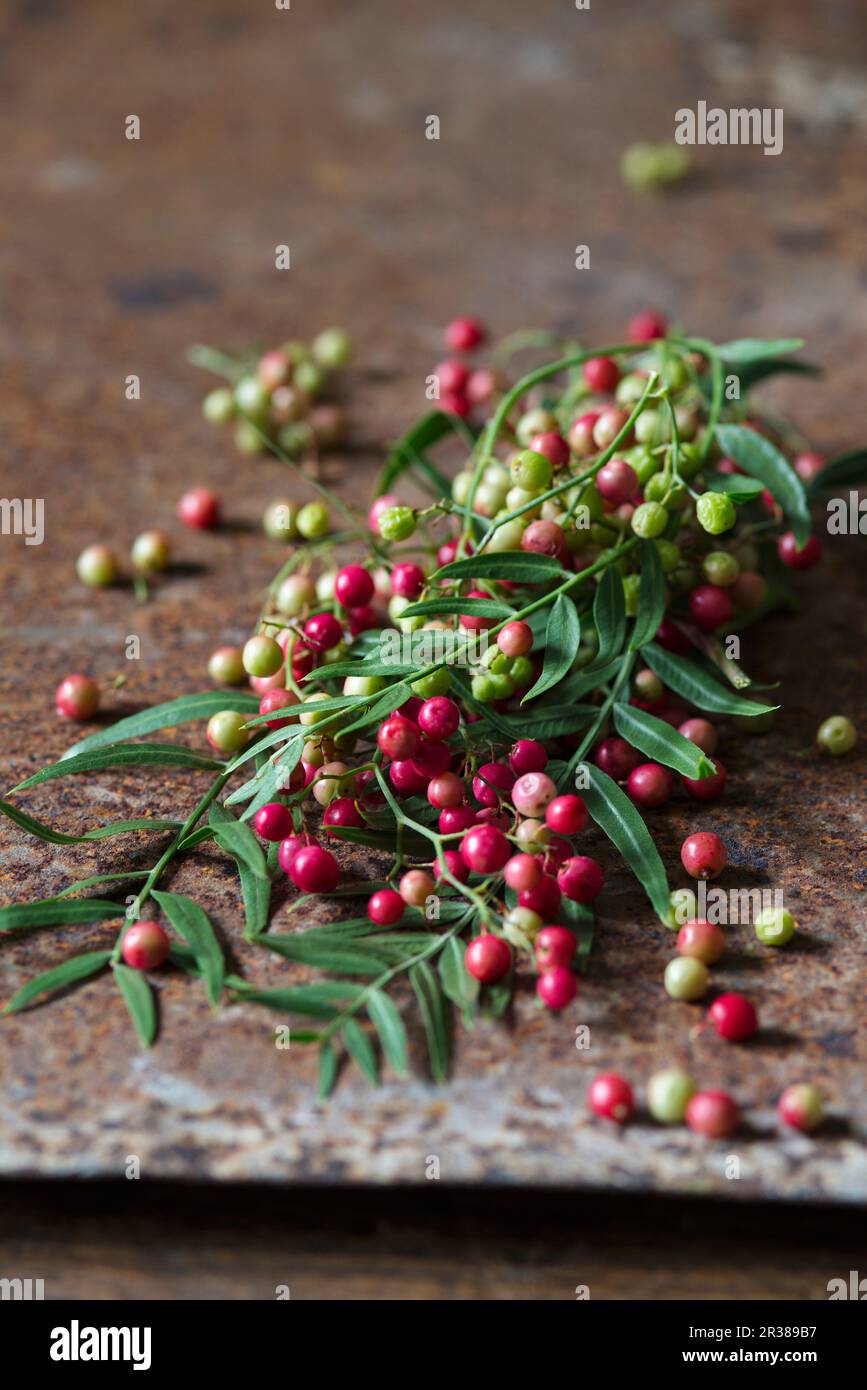Pink pepper berries hi-res stock photography and images - Alamy
