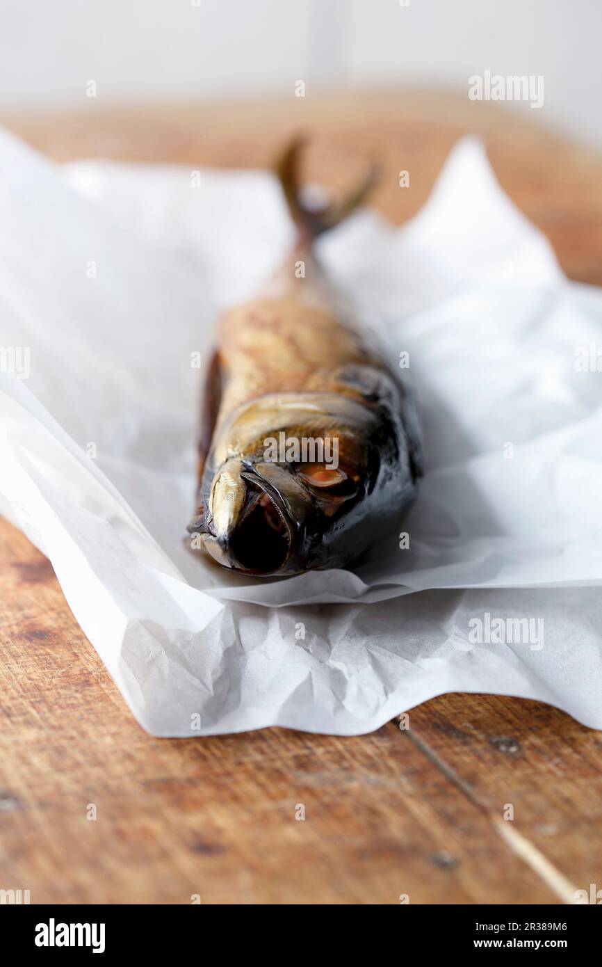 A seawater fish on paper Stock Photo - Alamy