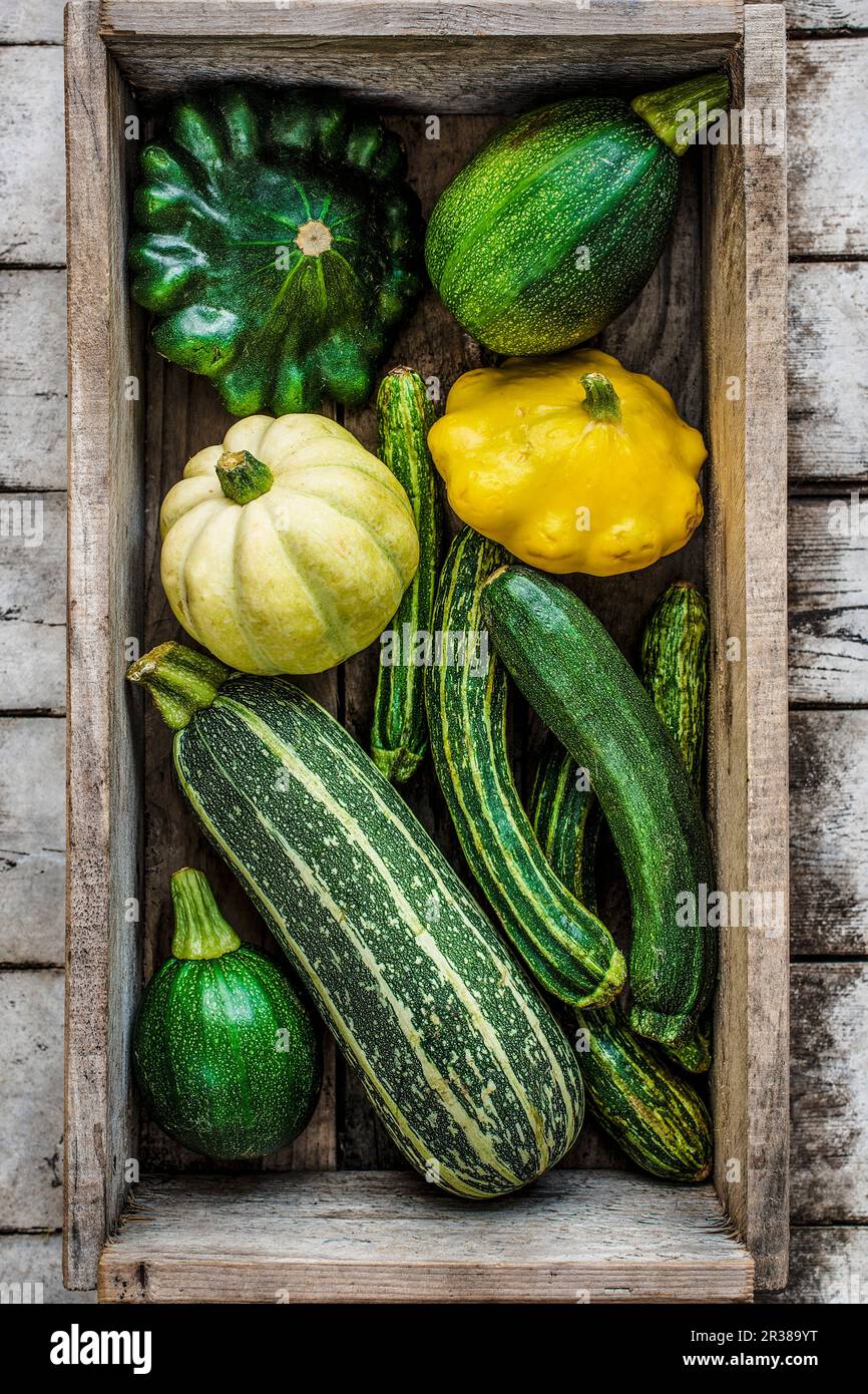 Different types of courgettes, view from above Stock Photo - Alamy