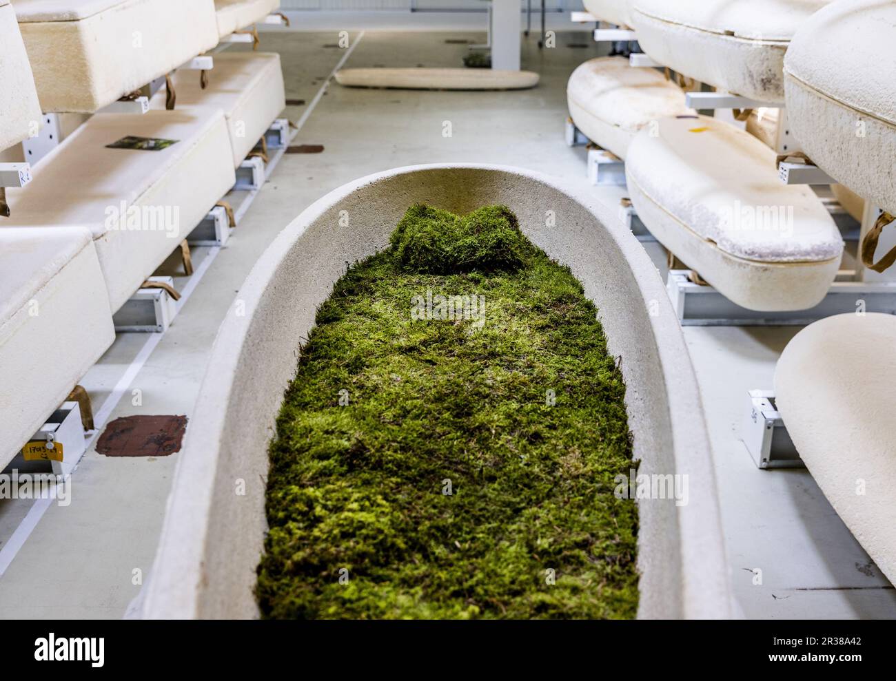DELFT - Boxes in the Loop Biotech factory. The funeral manufacturer ...