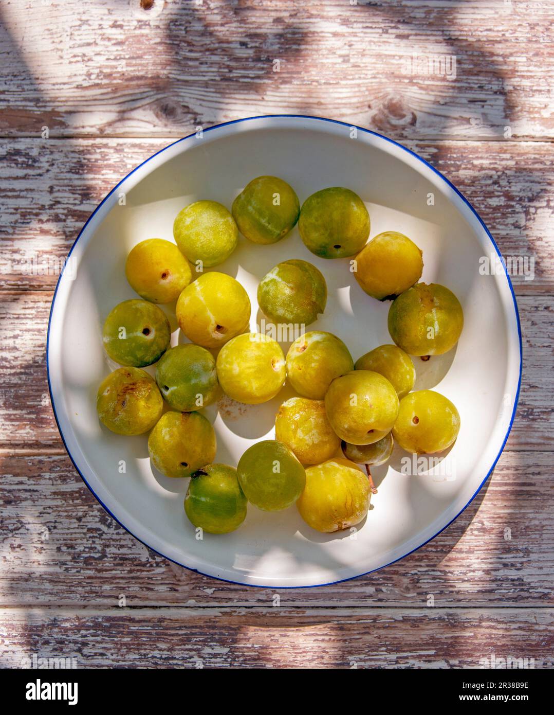 Greengage plums hi-res stock photography and images - Alamy