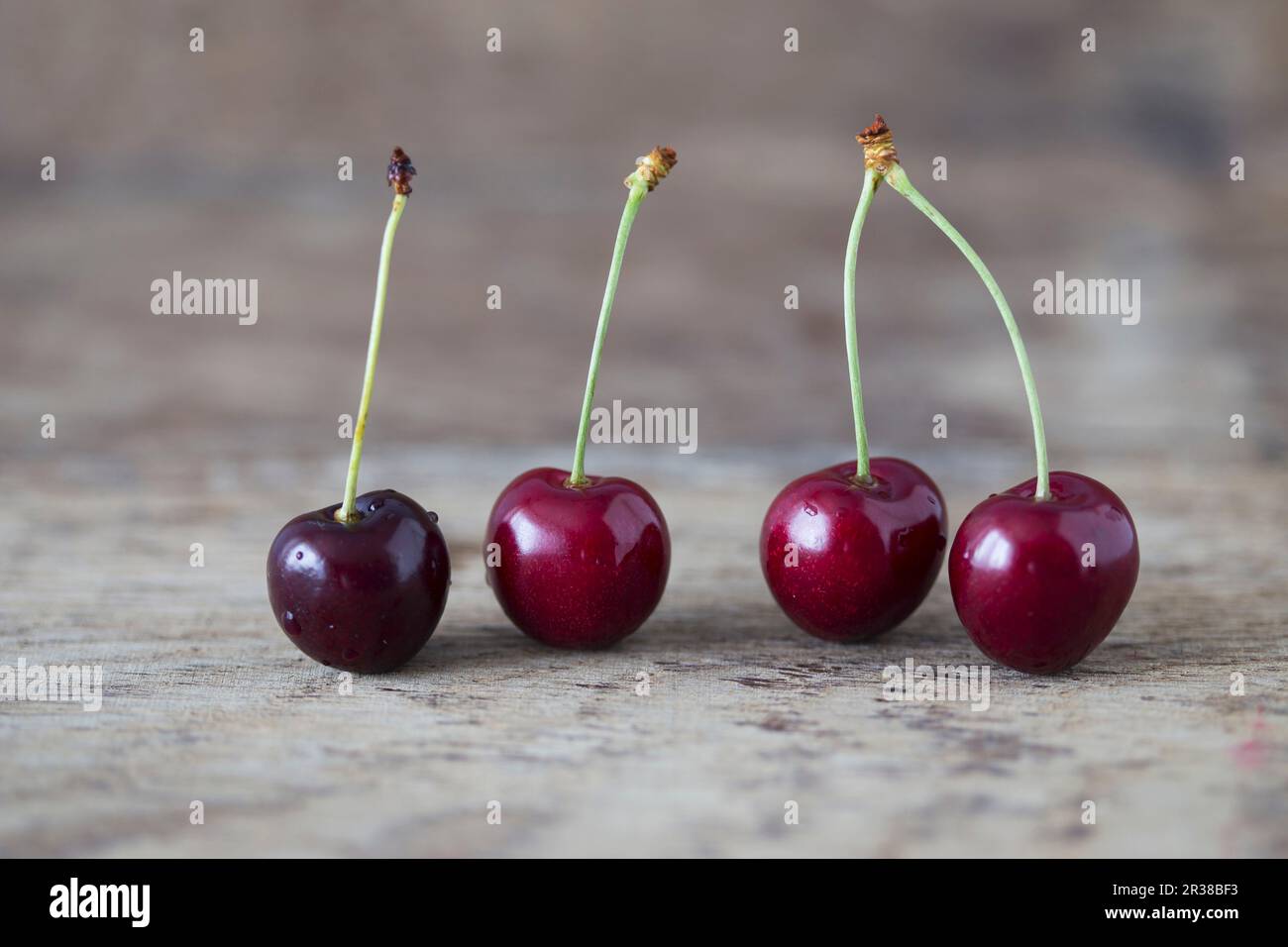 Four cherries hi-res stock photography and images - Alamy