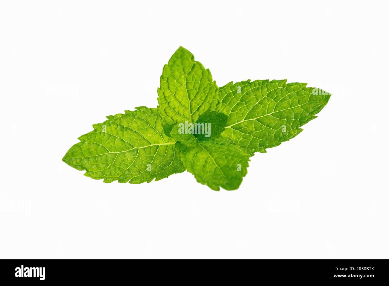 Mint cut out overhead hi-res stock photography and images - Alamy