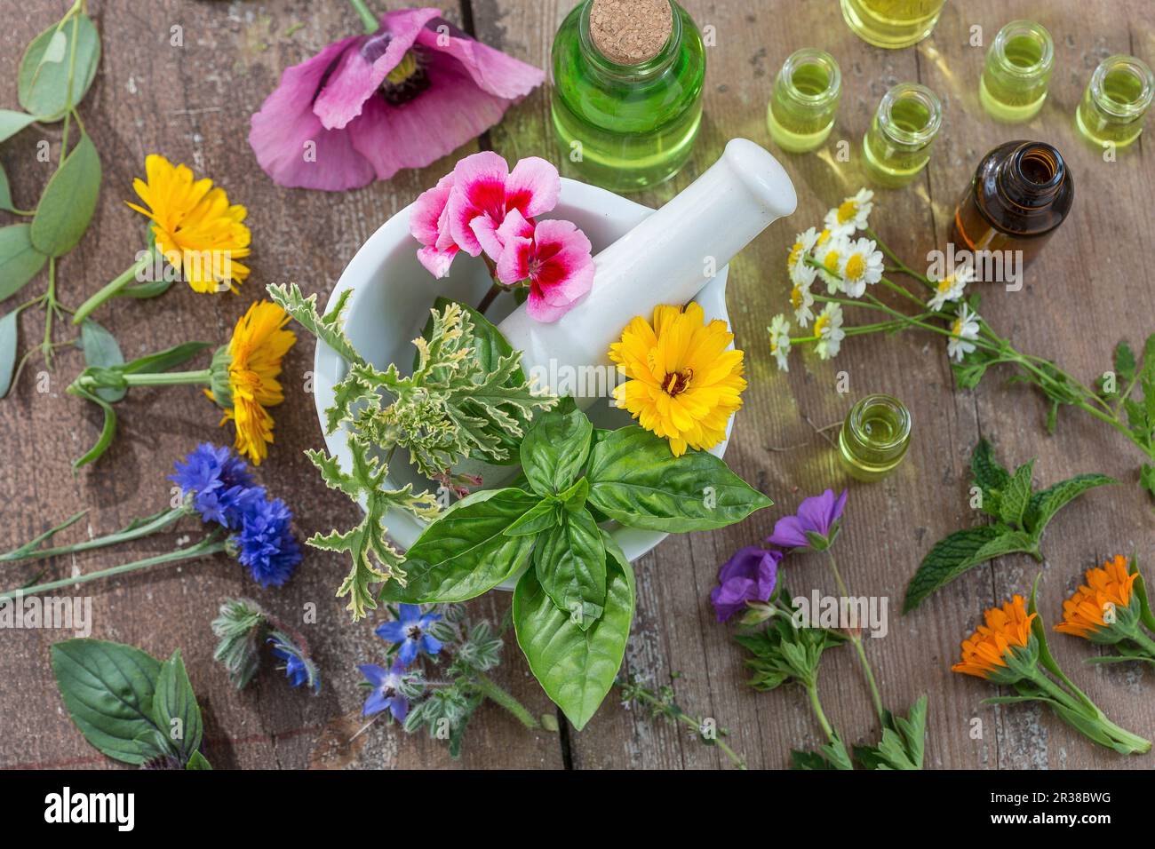 Various healing flowers, herbs and oils in and around a mortar Stock ...
