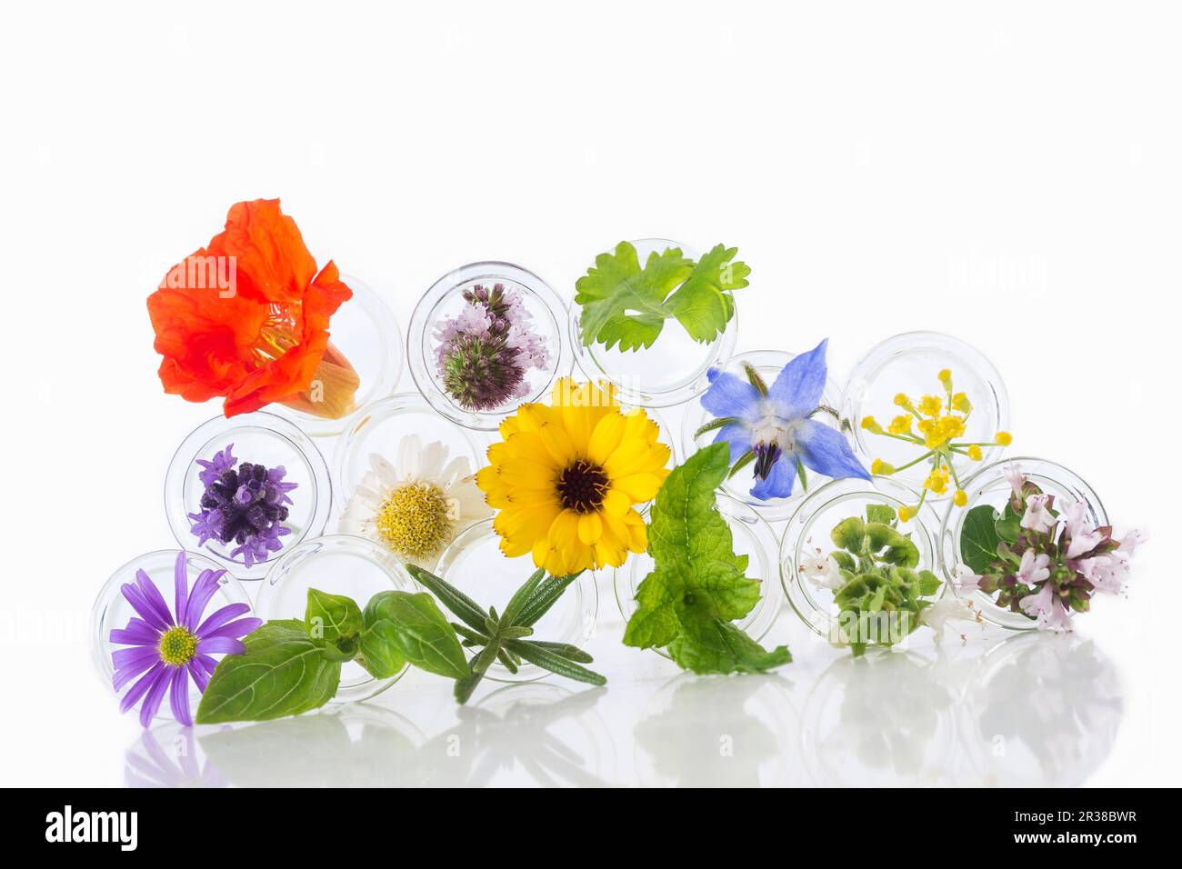 Healing flowers hi-res stock photography and images - Alamy