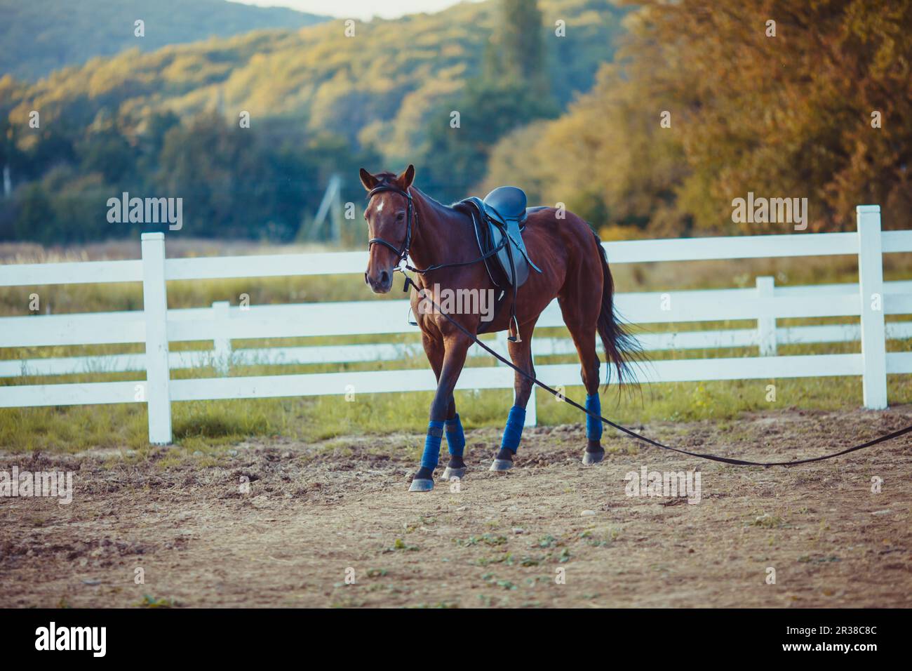 Horse farm scenic hi-res stock photography and images - Alamy