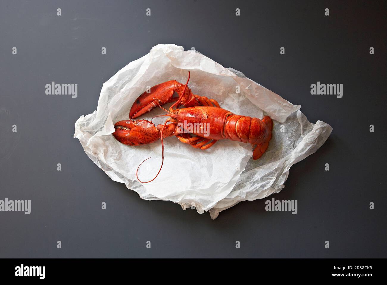 Whole main lobster hi-res stock photography and images - Alamy
