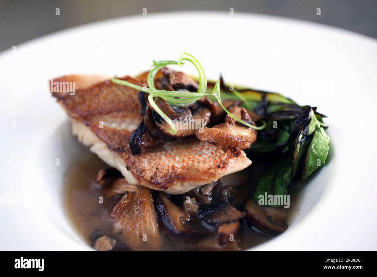 Pan roasted snapper with wild mushroom in miso broth Stock Photo - Alamy