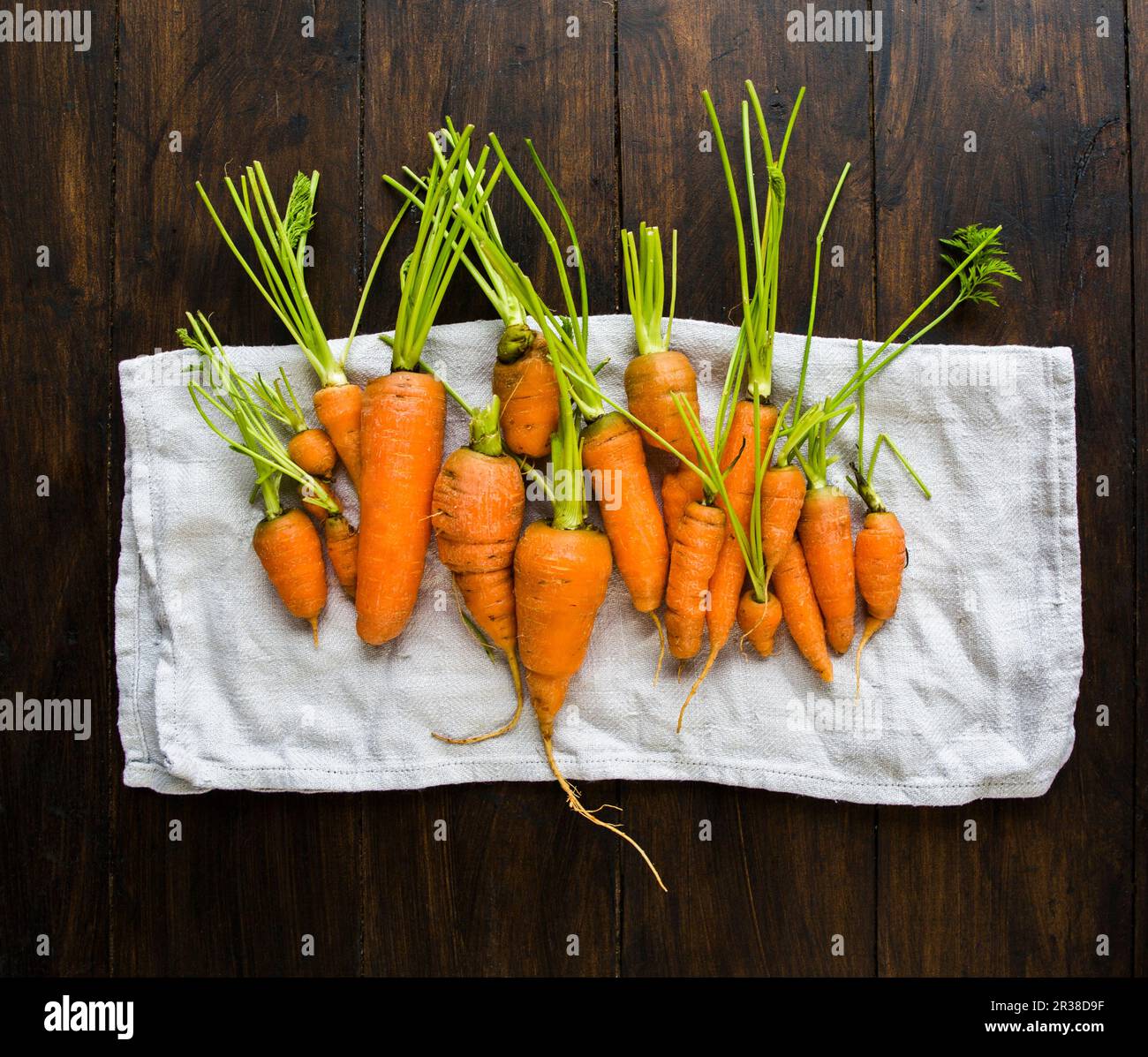 Small garden carrots in different shapes and sizes Stock Photo - Alamy