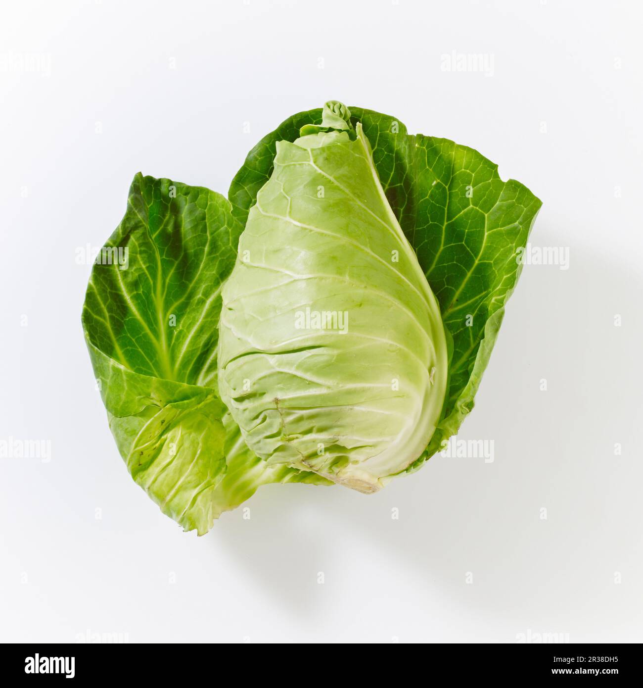 A pointed cabbage and cabbage leaves Stock Photo - Alamy