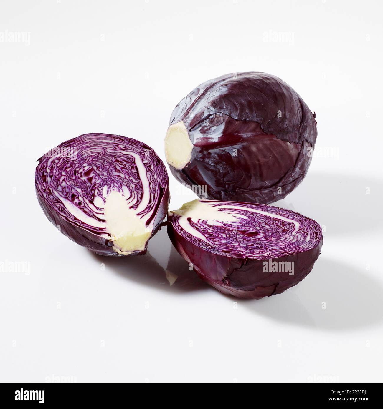 Cabbage outline hi-res stock photography and images - Alamy