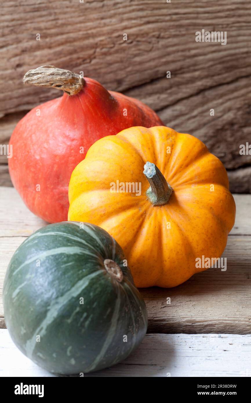 Three different types of squash Stock Photo - Alamy Three different types of squash Stock Photo - Alamy