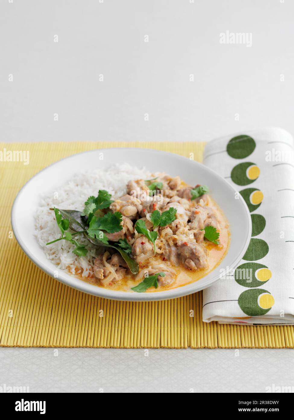 Chicken Fish Curry with rice Stock Photo - Alamy